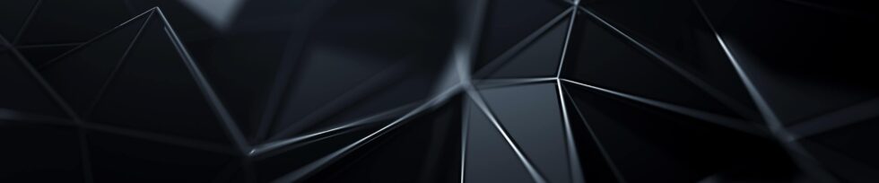 Rob Roy | CEO & Founder of Switch